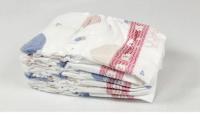 China Premium Care Diapers High Quality Wholesale Price Pull Up Training Baby Diaper for sale