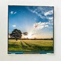 China 480x480 3.95 Inch TFT Lcd Display 3 Line SPI 24 Bit RGB for sale