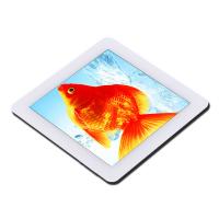 China 4 Inch 0.8 VCI Ips Tft Display Ctp ISO9001 With I2c Interface for sale