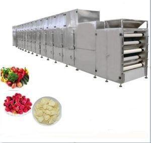China HWZ Vegetable Drying Machine Fruits Dehydrator with 1300*1150*1700mm for sale