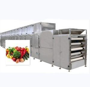 China Dehumidifier Vegetable Dryer with Optimal Dehydrate Temperature of 300-100 Centigrate for sale