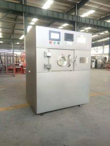 China 300-100 Centigrate Dehydrate Temperature Microwave Vacuum Drying Machine for Fruit GMP for sale
