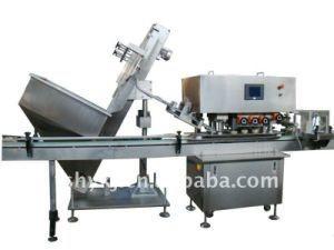 China Upgrade Your Filling and Sealing Process with In-Line Screwing-Cap Machine for sale