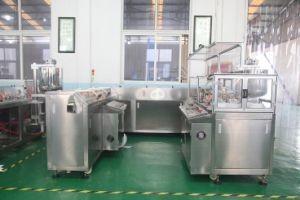 China Linear Structure HY-Z Automatic Suppository Machine for Liquid Suppository Production for sale