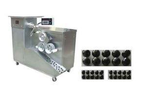 China State-of-the-art 750kg Total Weight Bolus Making Equipment for Pharmaceutical Industry for sale