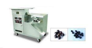 China High Precision Automatically 6g Honey Pills Making Equipment for Granules for sale