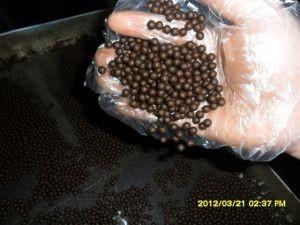 China CE Proved Industry Pill Making Machine 1-6g for Precise Tablet Production for sale