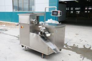 China Precision-Controlled Computerized Pills Making Machine for Customized Production for sale
