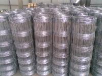 China Green Cattle Fence Mesh Grassland Horse Wire Netting for sale