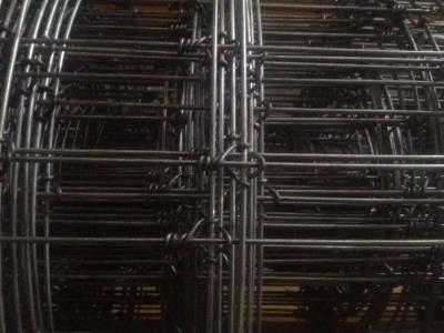 China Dia 8mm Woven Metal Mesh Screen Plain Weave Stainless Steel Wire Mesh for sale