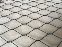 China Black Oxide Bird Stainless Steel Rope Mesh 7 X 7 for sale