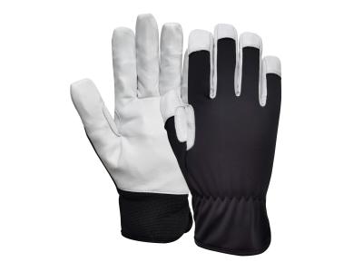 China Goatskin Needle Resistant Gloves XS-XL for sale