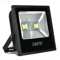 China IP66 COB LED Garden Light Fixtures 100W Luminous Efficiency Light Control for sale