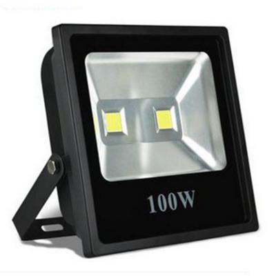 China IP66 COB LED Garden Light Fixtures 100W Luminous Efficiency Light Control for sale