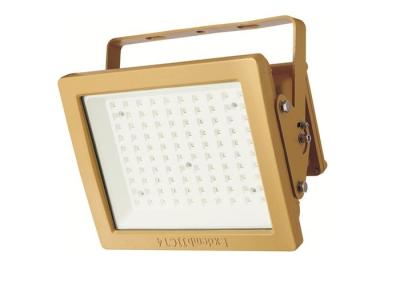 China IECEx Explosion Proof LED Flood Light Wall Mounted LED Flood Light Fixtures for sale