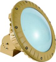 China NEW-FBG-200W Explosion Proof LED Light Fixture For Hazardous Environment for sale