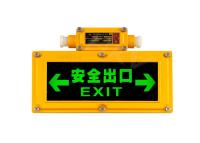 China Green Color Explosion Proof Emergency Light For Oil Gas Station Hazardous Area for sale