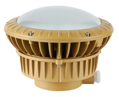 China 16500 Lumen Custom OEM Explosion Proof Light Bulbs Wide Input Voltage for sale