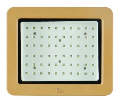 China explosion proof led lights nec class 1NEW-FBF011-50W explosion-proof high bay lighting ex atex certified for sale