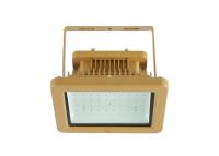 China NEW-FBF011-60W Emergency LED Flood Lights Ex Mark With IIA IIB IIC for sale