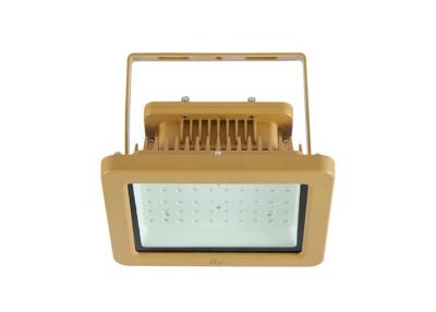 China NEW-FBF011-60W Emergency LED Flood Lights Ex Mark With IIA IIB IIC for sale