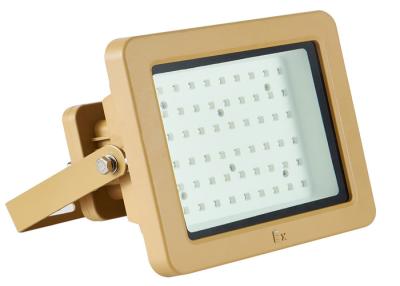 China 110 Lm / W 60W Explosion Proof Light Fixture CE / ROHS / EX Passed High Brightness for sale