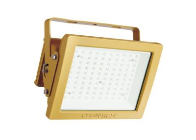 China 100W Explosion Proof LED Light Fixture Waterproof Flood Light Factory Warehouse Use for sale