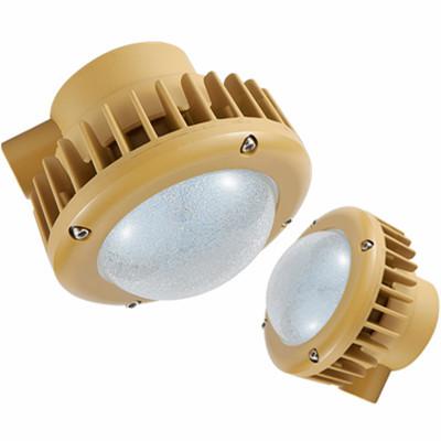 China 30w IP65 Waterproof Mine Explosion Proof LED Light Fixture 2 Years Warranty for sale