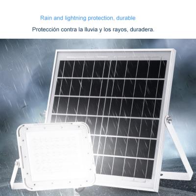 China 1300lm 1600lm Solar Powered Pathway Lights Die Casting Aluminum for sale