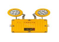 China ATEX Approved 6000K Explosion Proof Exit Light Rechargeable Bettery for sale