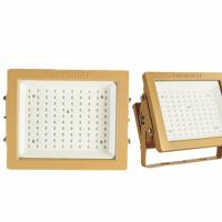 China IP65 Waterproof Dustproof Pan American Explosion Proof Light 100W 200W For Hazardous Place for sale