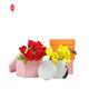 China F Flute Magnetic Printed Cardboard Gift Box With Ribbon Closure for sale
