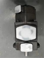 China Yuken Positive Displacement Vane Pump PV2R34-116-237-F-RAAA-31 PV2R23-41-116-F-REAA-41 for sale
