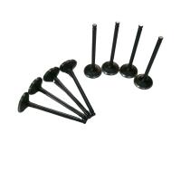 China 2.0T Intake and Exhaust Valves for JAC S5 Engine Replacement Components for sale