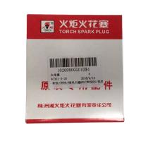 China JAC J3 J5 J6 S3 VVT Engine Spark Plug 10 Sets Car Parts with OE Number 1026080GG010 for sale