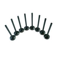 China Refine Rein Sunray Intake and Exhaust Valves Steel Material OE NO. 1003014FB/1003015FB for sale