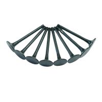 China Refine Rein Sunray Intake and Exhaust Valves Steel Material OE NO. 1003014FB/1003015FB for sale