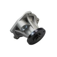 China Picture and Luxury Style JAC T6 Original Water Pump 1027110GD190 for sale