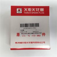 China Auto Parts for J2 J3 J5 J6 S3 Spark Plug OEM Number 1026080GG010 for sale