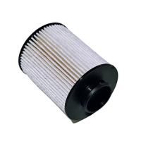 China SHUAILING T6 Oil Filters Element Fuel Filter for JAC Pickup T8 1105014P31F0 Guaranteed for sale
