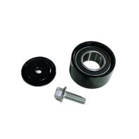 China Tensioner Idler Pulley Assembly for JAC Pickup T6 T8 OE Number 1025400FD020 0.75KG Black for sale