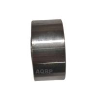 China Standard Auto Parts Timing Belt Tensioner Pulley Bearing for JAC Pickup T6 T8 X1970028F for sale