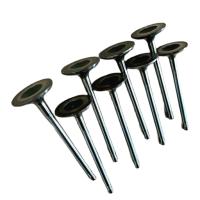 China 1st Gen REFINE S7 SUV 17.06- Intake Valve OE NO. 1003202GD190 for Performance for sale