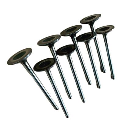 China 1st Gen REFINE S7 SUV 17.06- Intake Valve OE NO. 1003202GD190 for Performance for sale