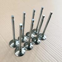 China 1st Gen REFINE S7 SUV 17.06- Intake Valve OE NO. 1003202GD190 for Performance for sale