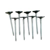 China 1st Gen REFINE S7 SUV 17.06- Intake Valve OE NO. 1003202GD190 for Performance for sale