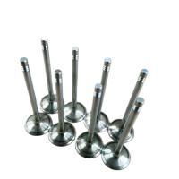 China 1st Gen REFINE S7 SUV 17.06- Intake Valve OE NO. 1003202GD190 for Performance for sale