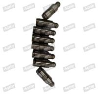 China Automotive Parts JAC PICKUP T6 Hydraulic Tappet OE NO. 1006100FD020 for Replace/Repair for sale