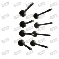China Shuailing T6 15/04- OE Number 1003014FD040 Intake Valve for 2007- Automotive Parts for sale