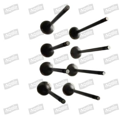 China Shuailing T6 15/04- OE Number 1003014FD040 Intake Valve for 2007- Automotive Parts for sale